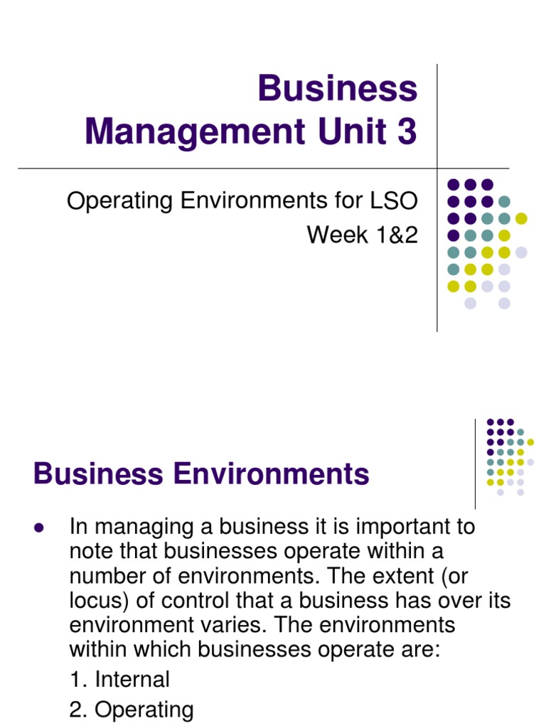 LSO - Operating Environments | PDF | Employment | Business