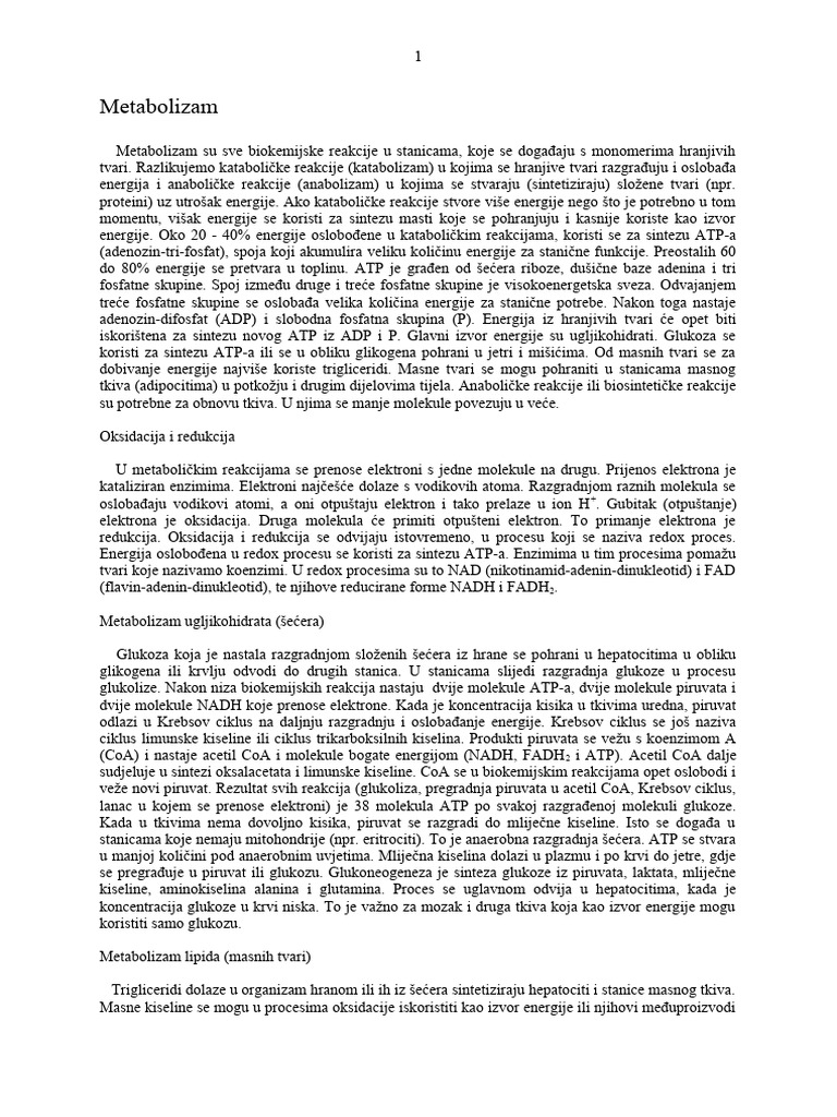 Metabolizam | PDF