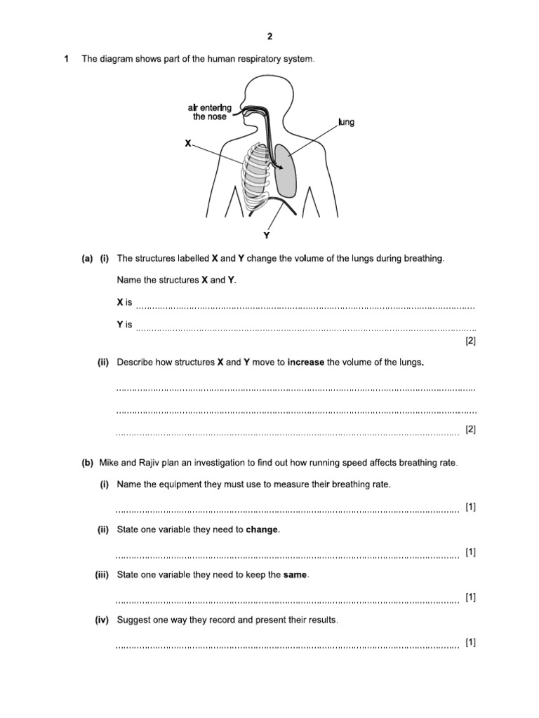 HOMEWORK Science Grade 7 | PDF