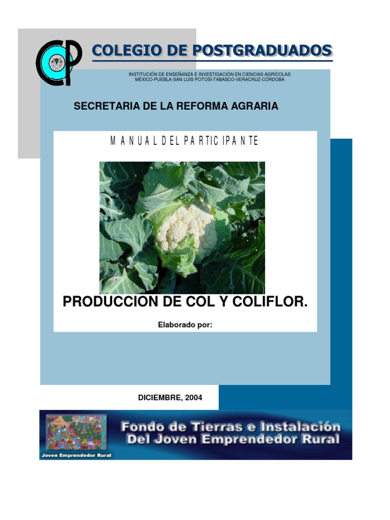 Cultivo de Col y Coliflor: Guía Práctica | PDF | Fertilizante | Agricultura
