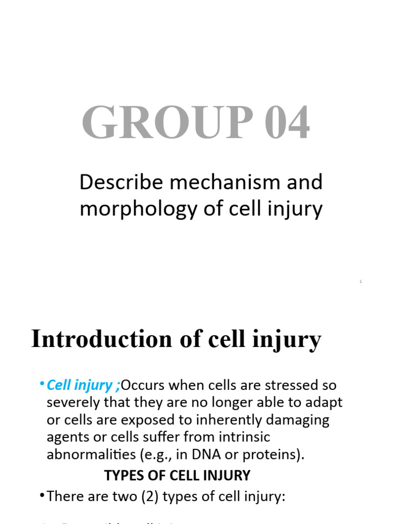 Group 04 | PDF | Cell (Biology) | Mitochondrion