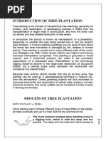 Tree Plantation Project | PDF
