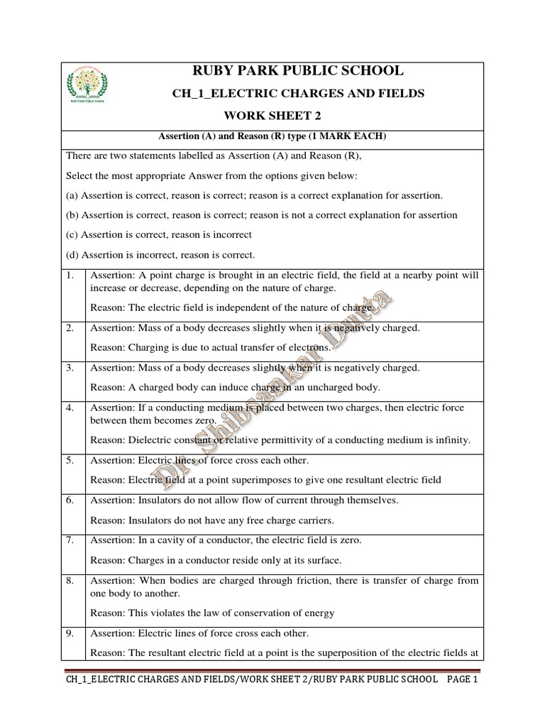 Class 12 Work Sheet 2 | PDF | Electric Field | Electric Charge