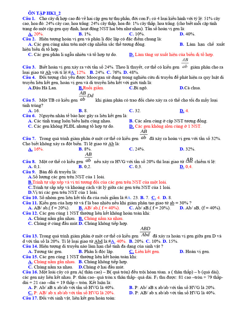 20 21 - ÔN TẬP HK1 | PDF