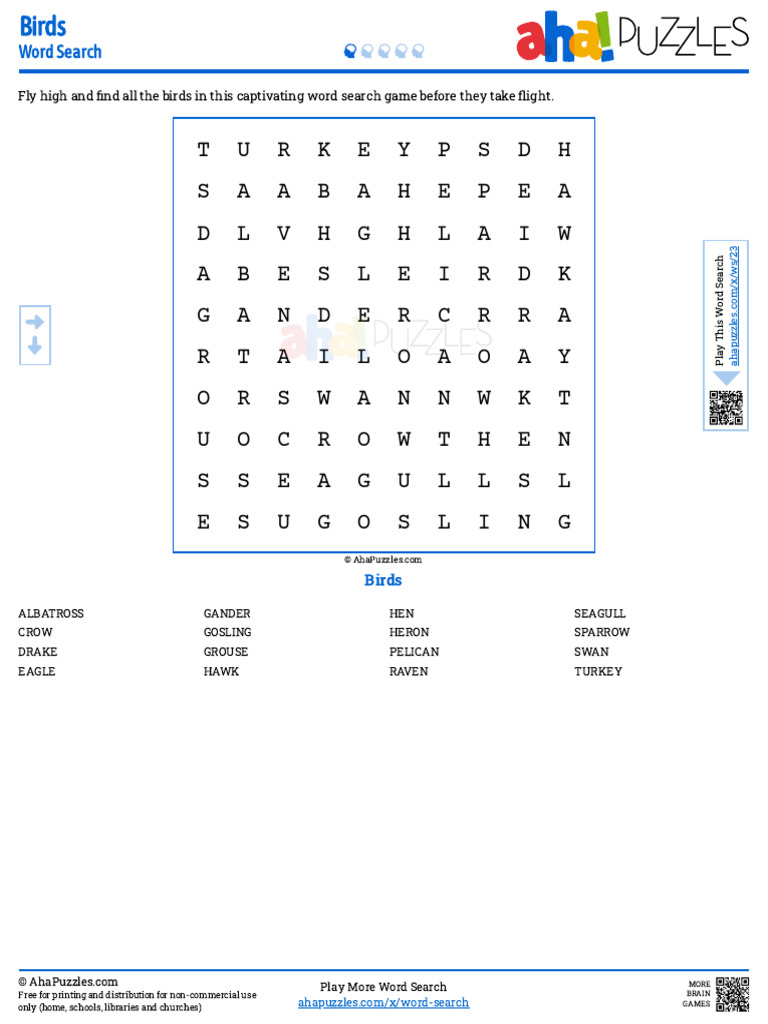birds-easy | PDF | Zoology | Ornithology