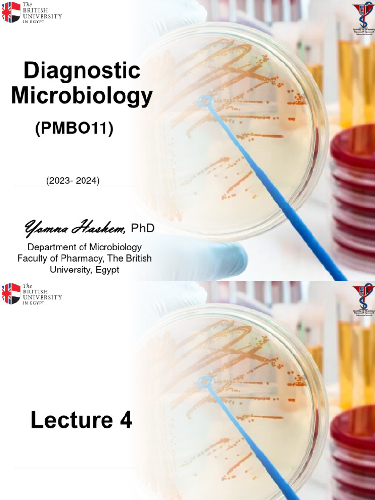 Diagnostic Microbiology Lecture 4 Modified (2023-2024) | PDF | Reverse Transcription Polymerase ...