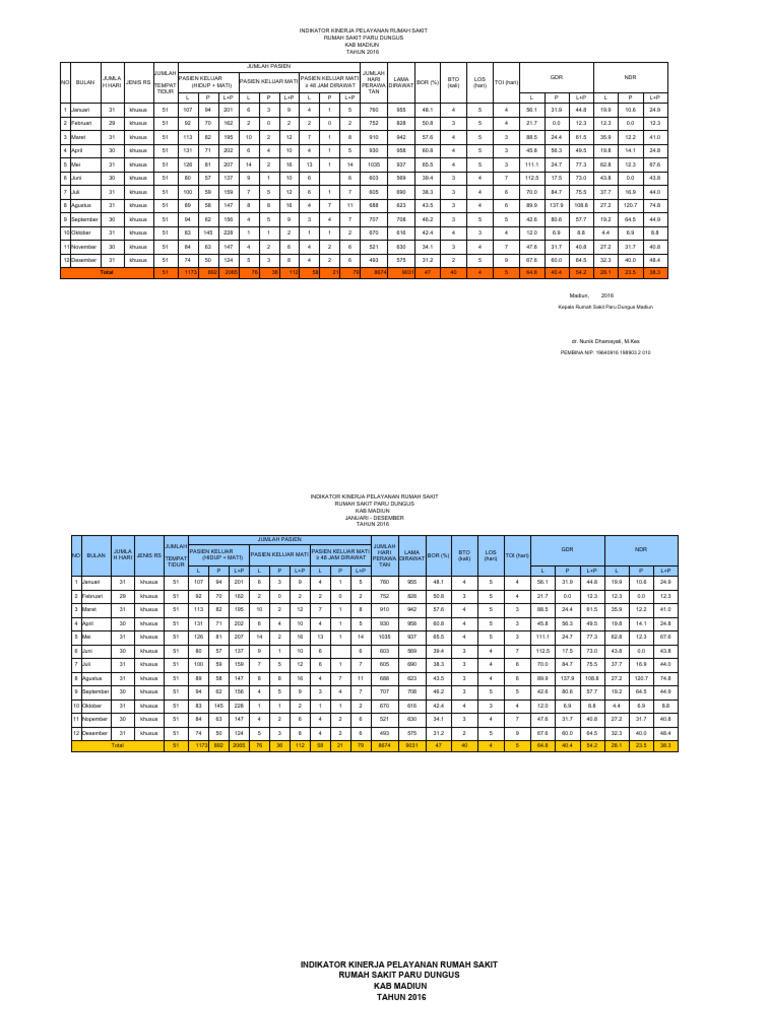 Format Laporan Indikator Kinerja Pelayanan RSPD MADIUN | PDF