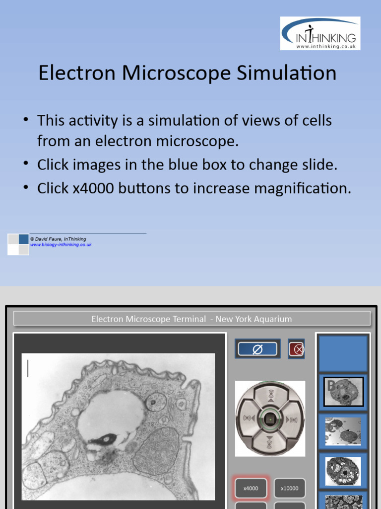 1.1 Cell Detective Activity | PDF | Microscope | Laboratories
