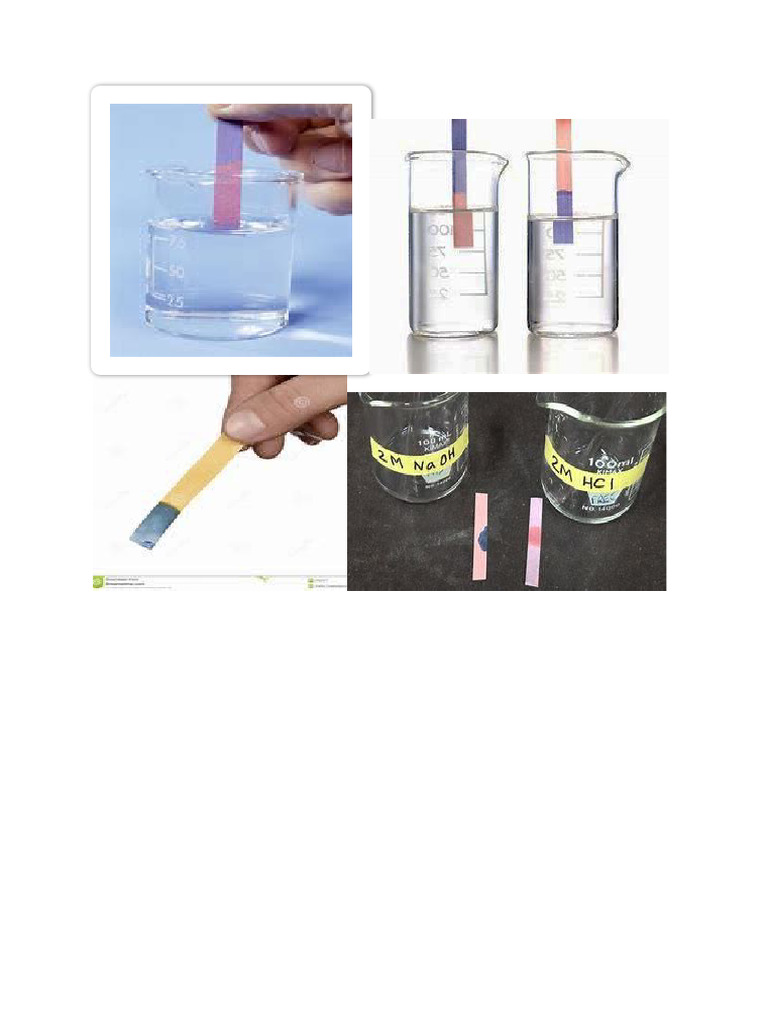 Collage Science Project | PDF