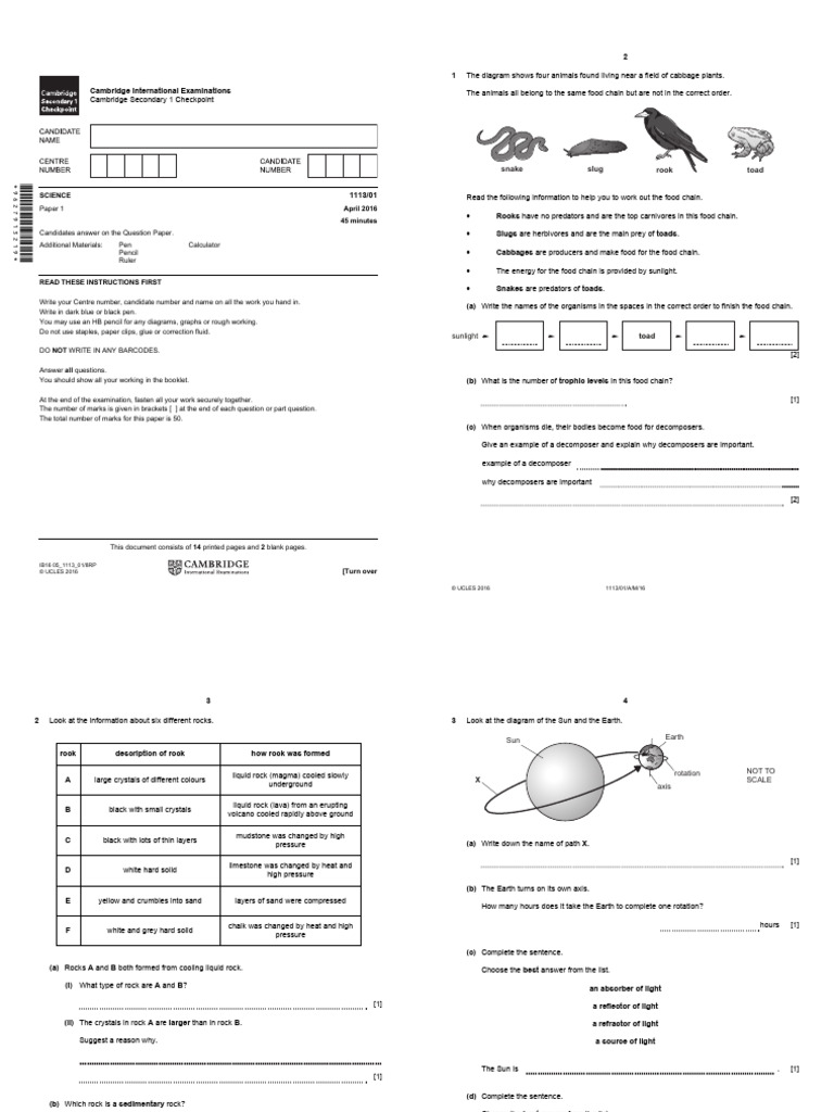 Sci Paper 9 | PDF | Chemical Reactions | Rock (Geology)