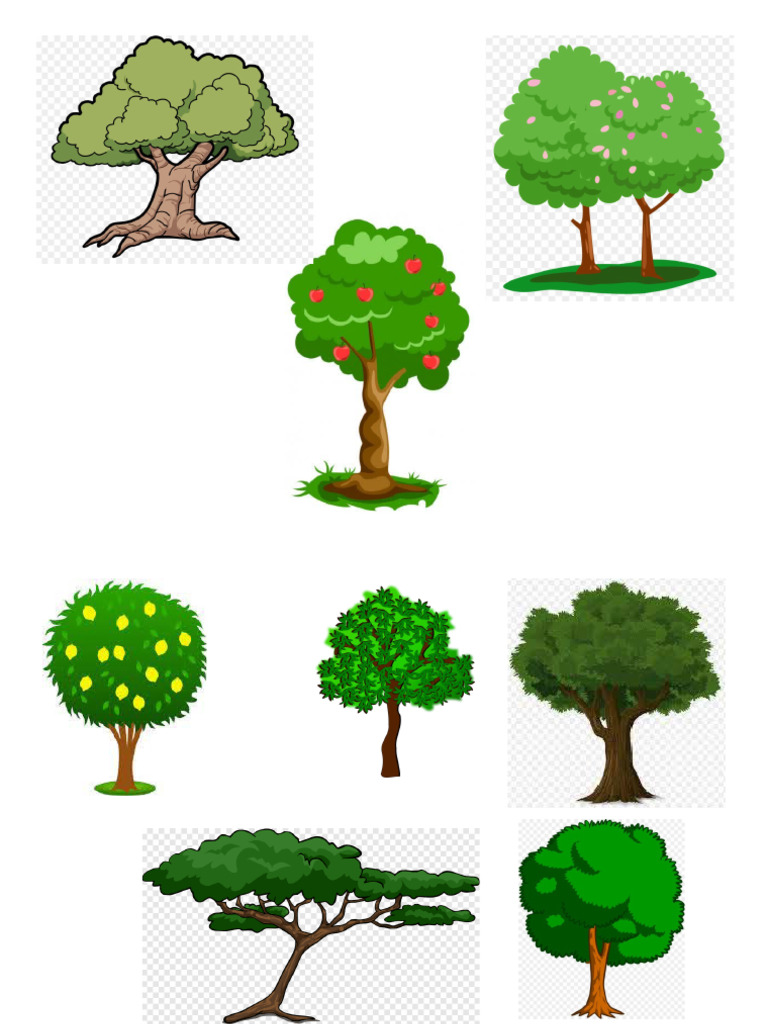 Pohon | PDF