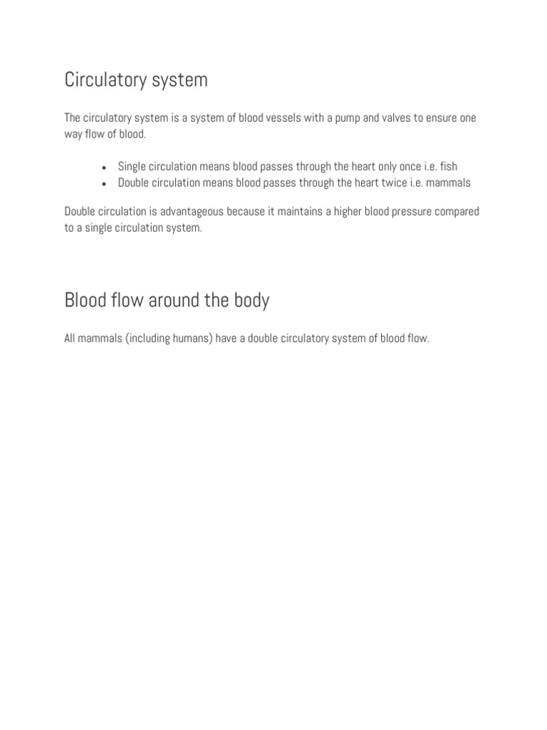 Circulatory System Pdf Heart Atrium Heart