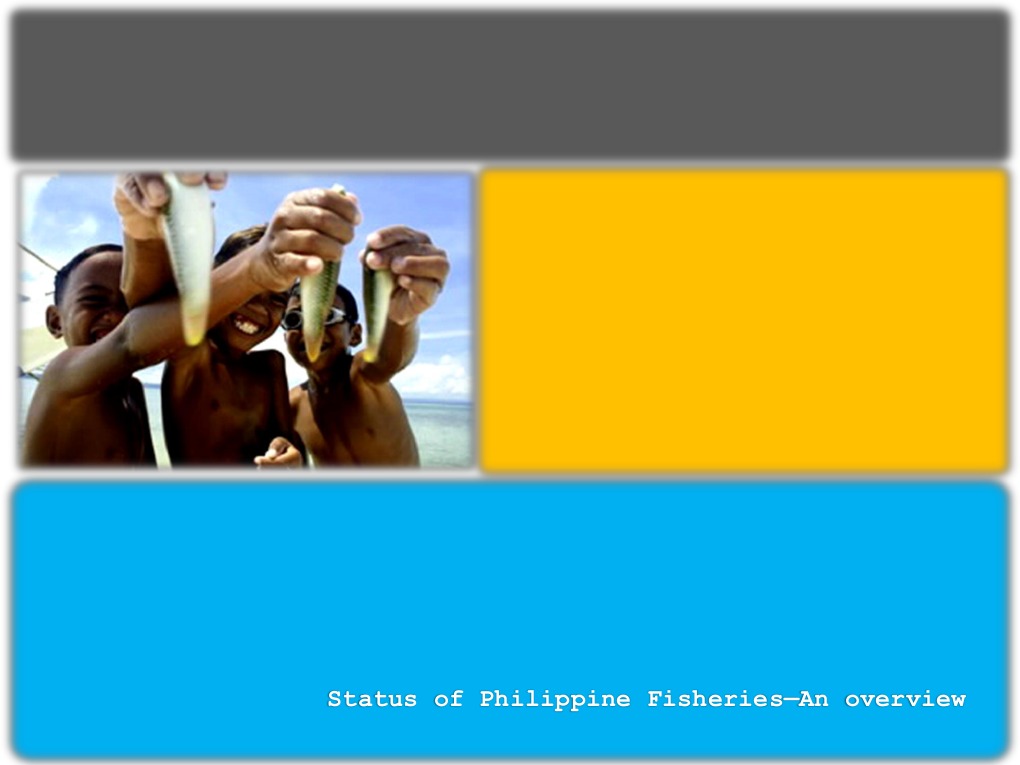 An Overview of the Status of Philippine Fisheries: Challenges and ...