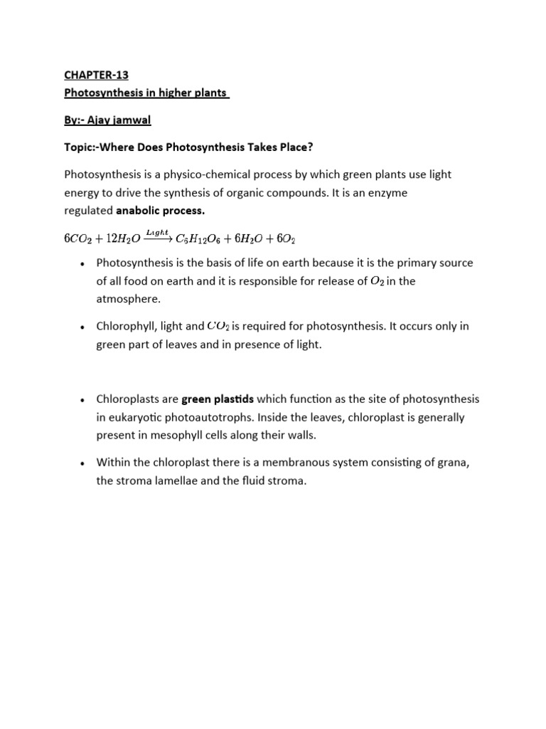 photosynthesis in higher plants | PDF | Photosynthesis | Chloroplast