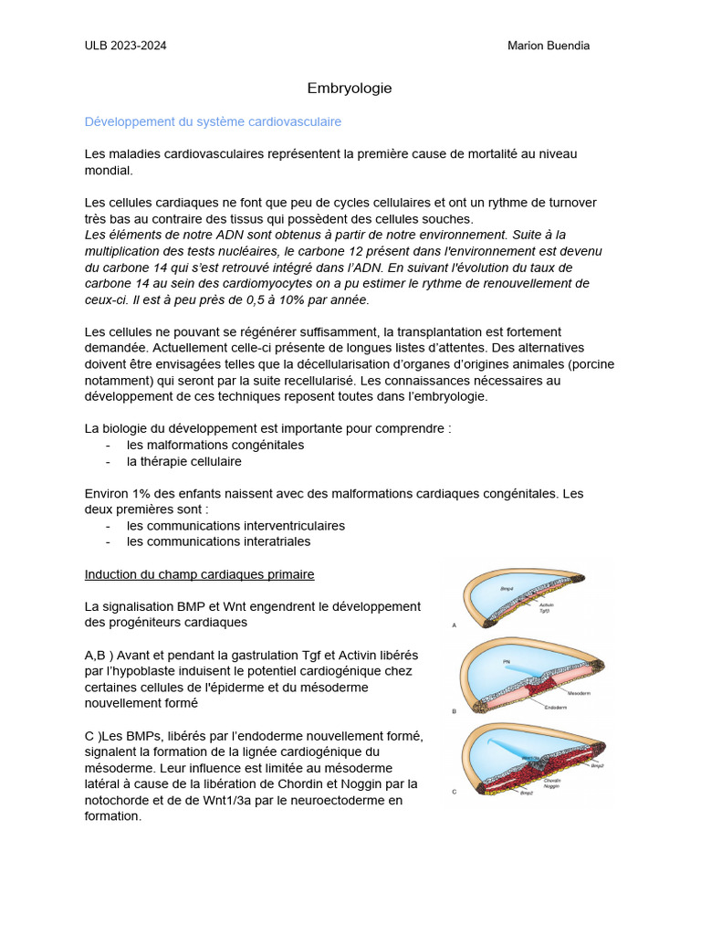 Embryologie et développement cardiaque | PDF | Cœur | Atrium (anatomie)