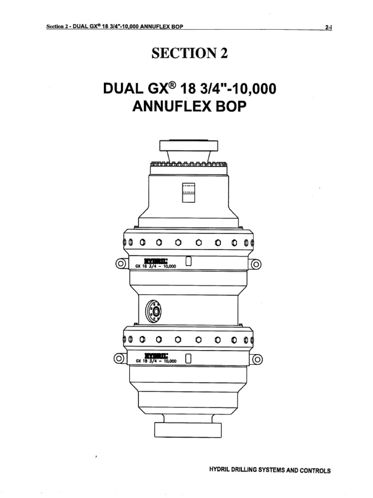 Dual Annuflex | PDF