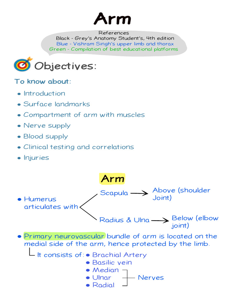 Arms v2 | PDF | Arm | Elbow