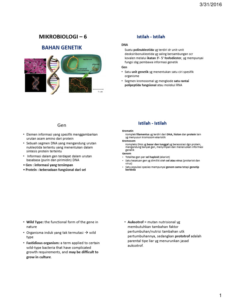 Mikrobio6 Eka | PDF