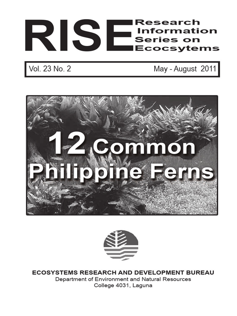 Philippine Ferns | PDF | Leaf | Fern