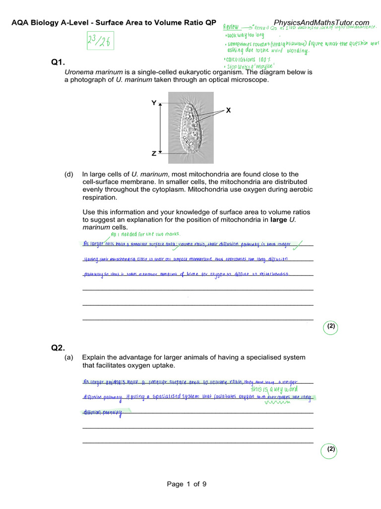 Surface Area to Volume Ratio in Biology | PDF | Mitochondrion | Biology