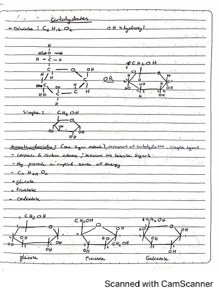 Biology AS - Biological molecules: Carbohydrates & Lipids | PDF