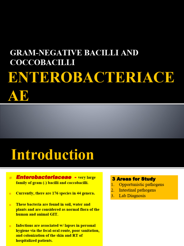 PDF Document 2 | PDF | Escherichia Coli | Serotype