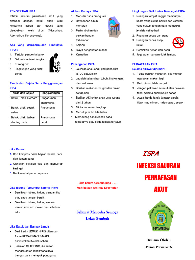 Leaflet Ispa | PDF | Kesehatan Holistik