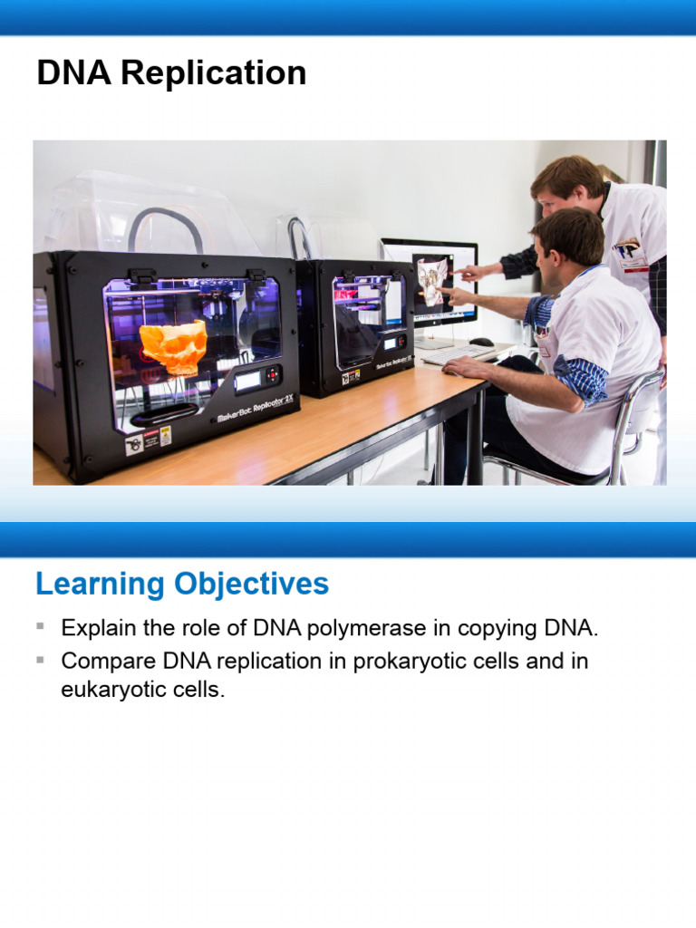 Role of DNA Polymerase in Replication | PDF | Dna Replication | Dna