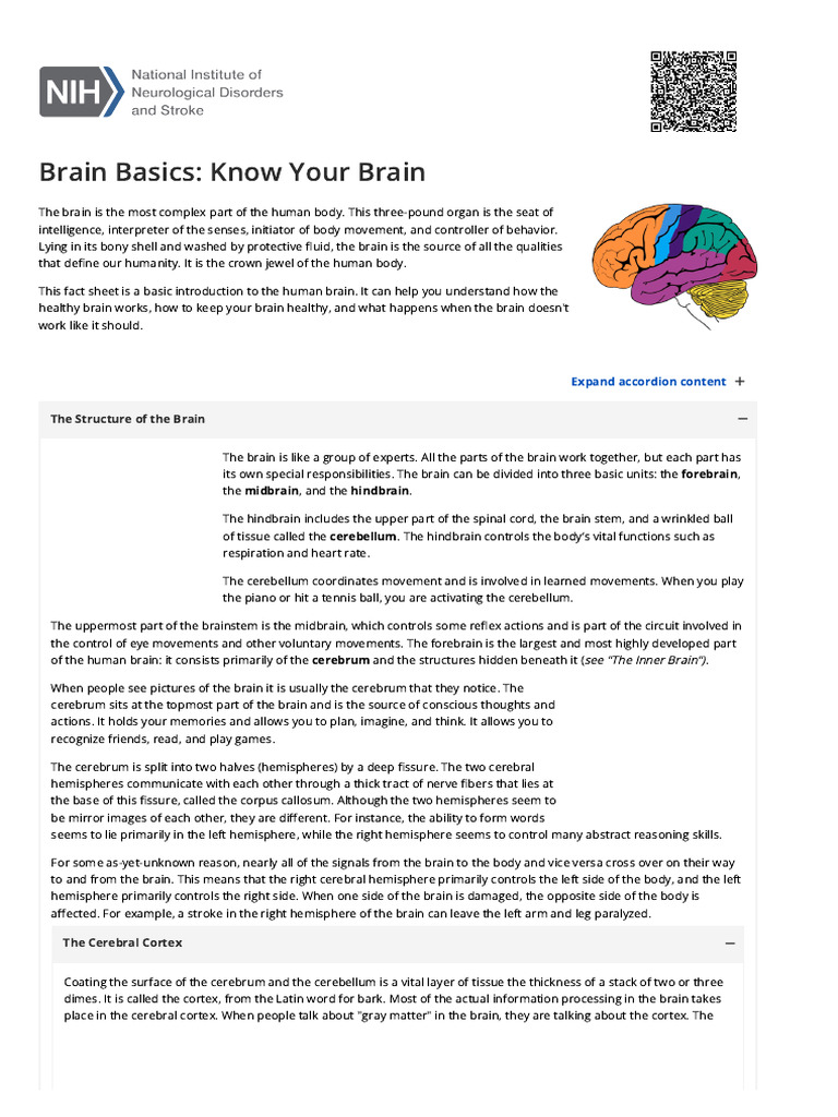 Brain Basics - Know Your Brain - National Institute of Neurological ...