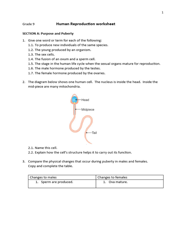 Grade 9 Human Reproduction Worksheet | PDF | Birth Control ...