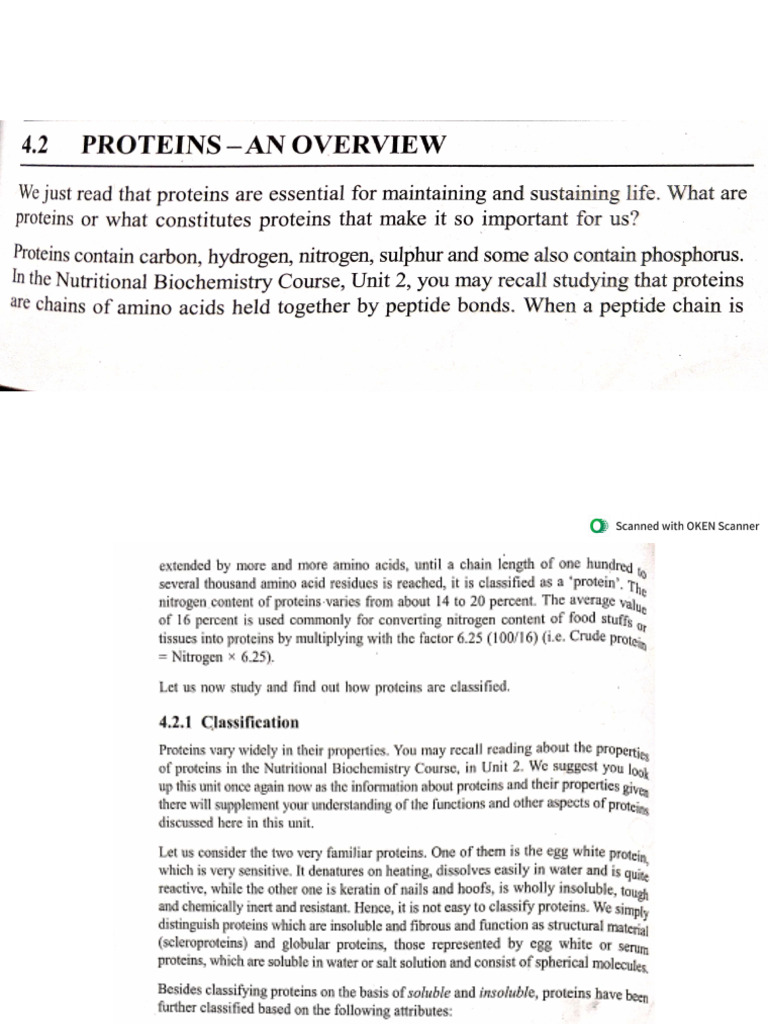 Protein | PDF