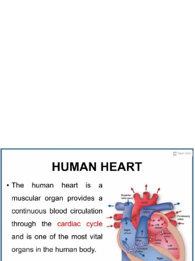human heart | PDF