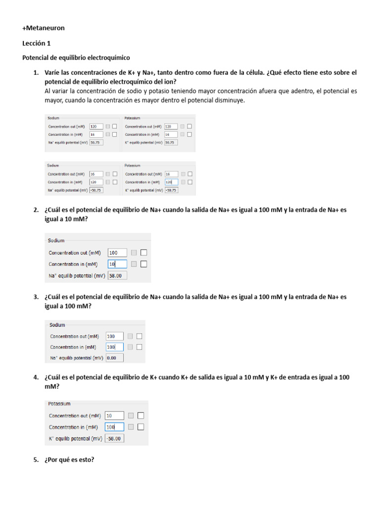 Metaneuron Lecciones | PDF | Potencial de membrana | Sodio