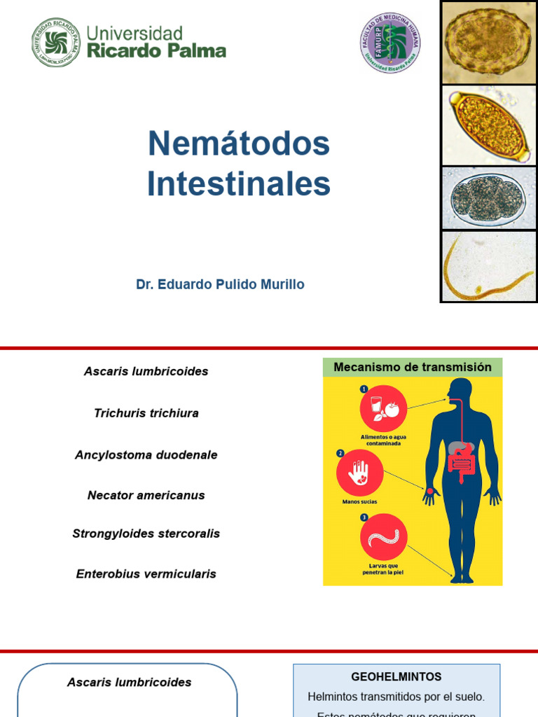 nematodos intestinales | PDF | Enfermedades y trastornos ...