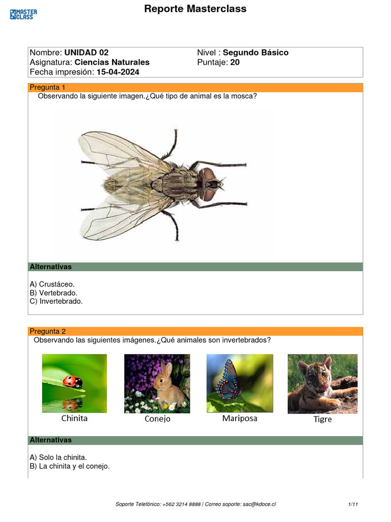 Prueba Unidad de Los Animales | PDF | Esqueleto | Invertebrado