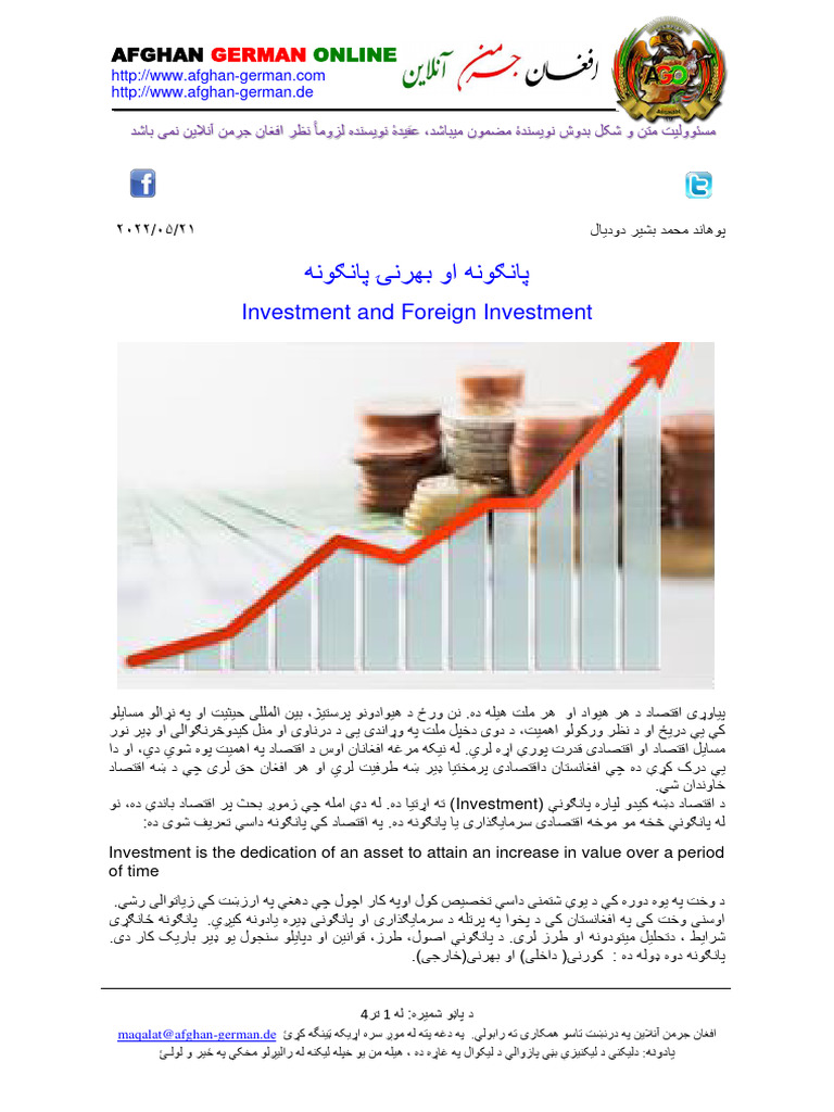 Investment and Foreign Investment | PDF