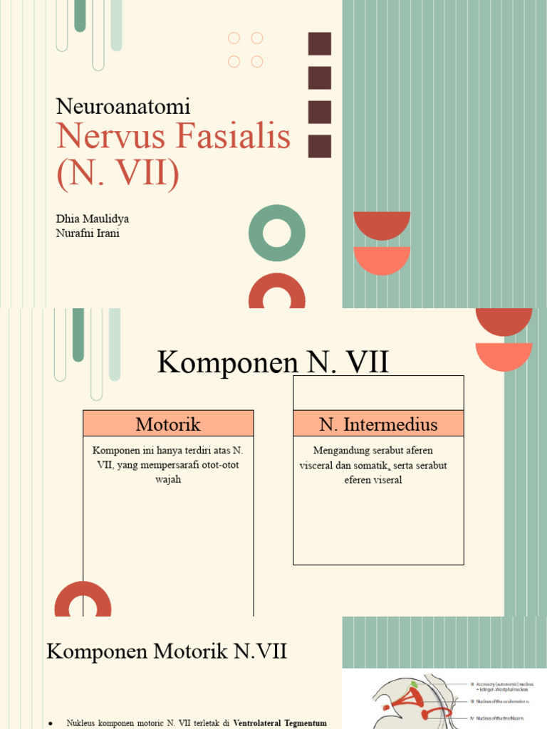 Neuroanatomi Nervus Fasialis N. VII | PDF