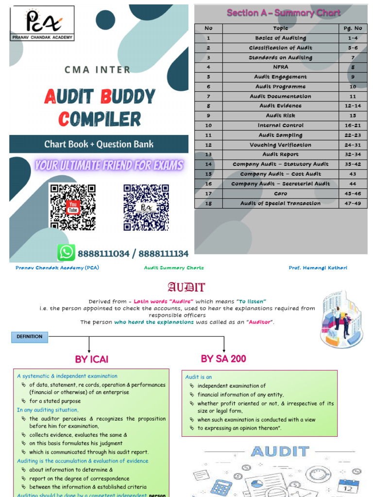 Audit Buddy Compiler - Prof. Hemangi Mam | PDF | Audit | Financial Audit