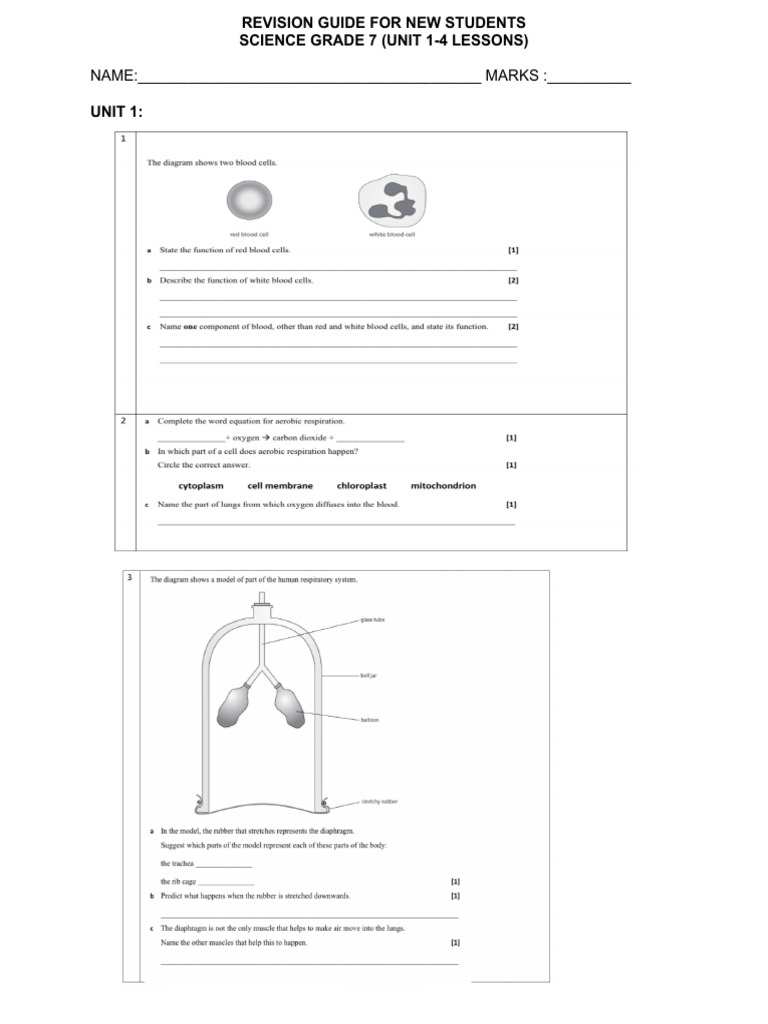 7th Grade Science Revision Guide | PDF | Business