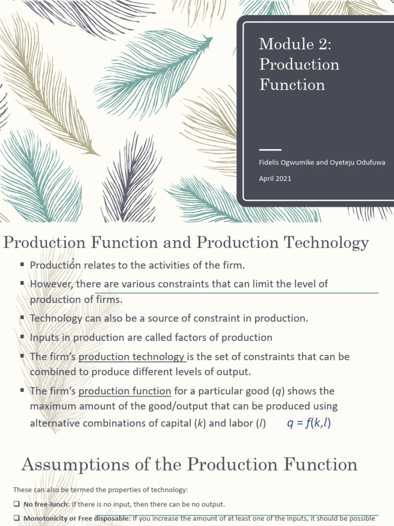Production Function | PDF | Production Function | Factors Of Production