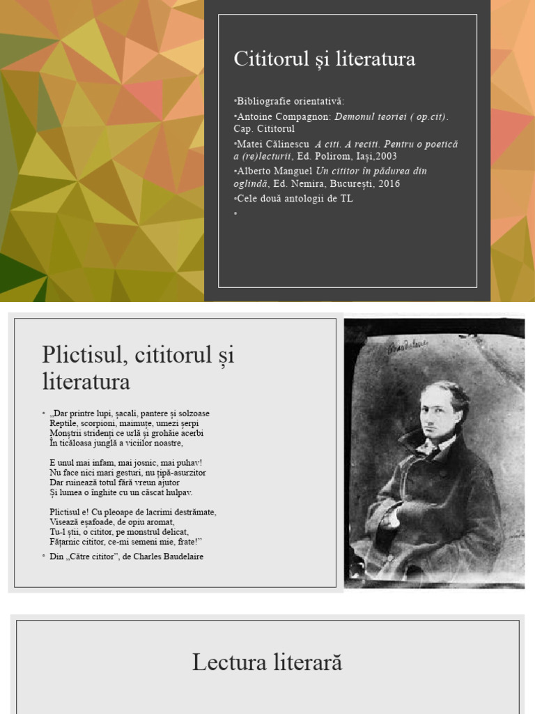 Curs 7. Cititorul Și Literatura (Enregistrement Automatique) | PDF