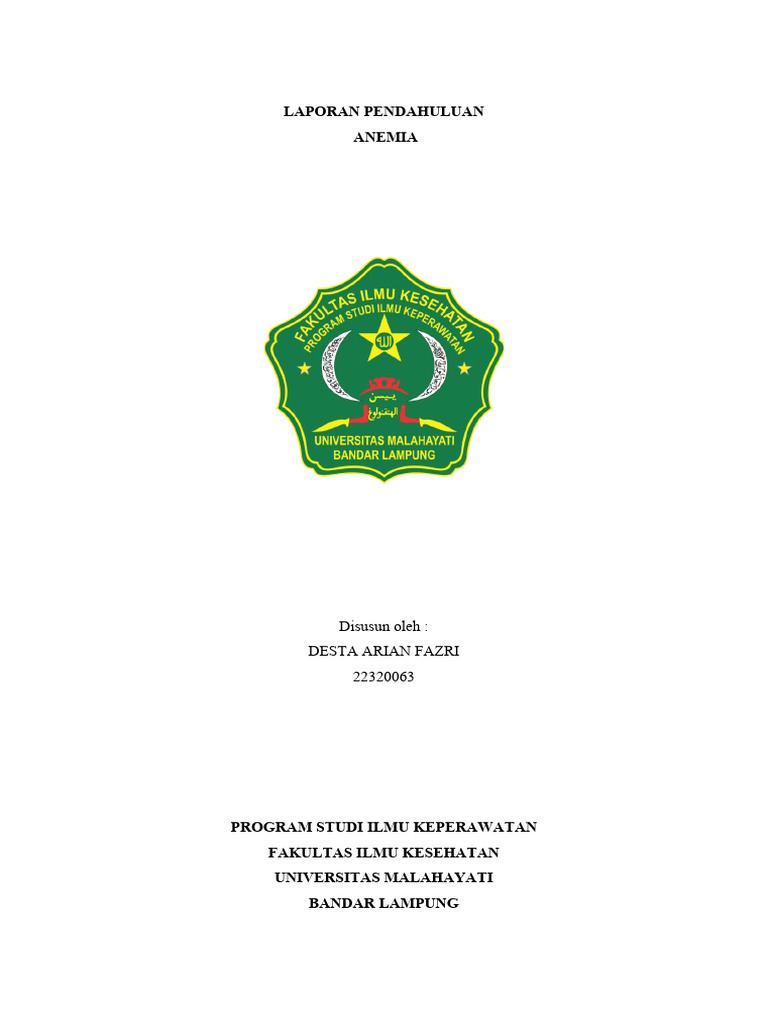 Panduan Lengkap Anemia dan Klasifikasinya | PDF
