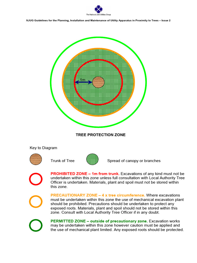 V4 Trees Issue 2 Operatives Handout | PDF | Trees | Root
