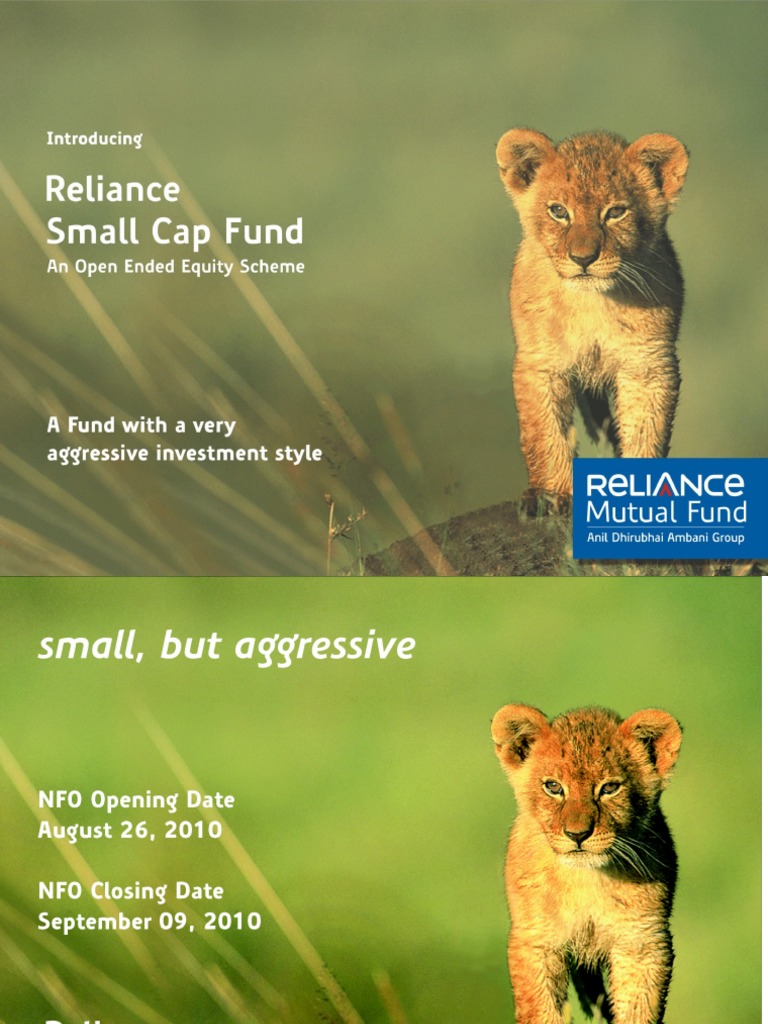 Reliance Mutual Fund Reliance Small Cap Fund: Presents | PDF | Bric ...