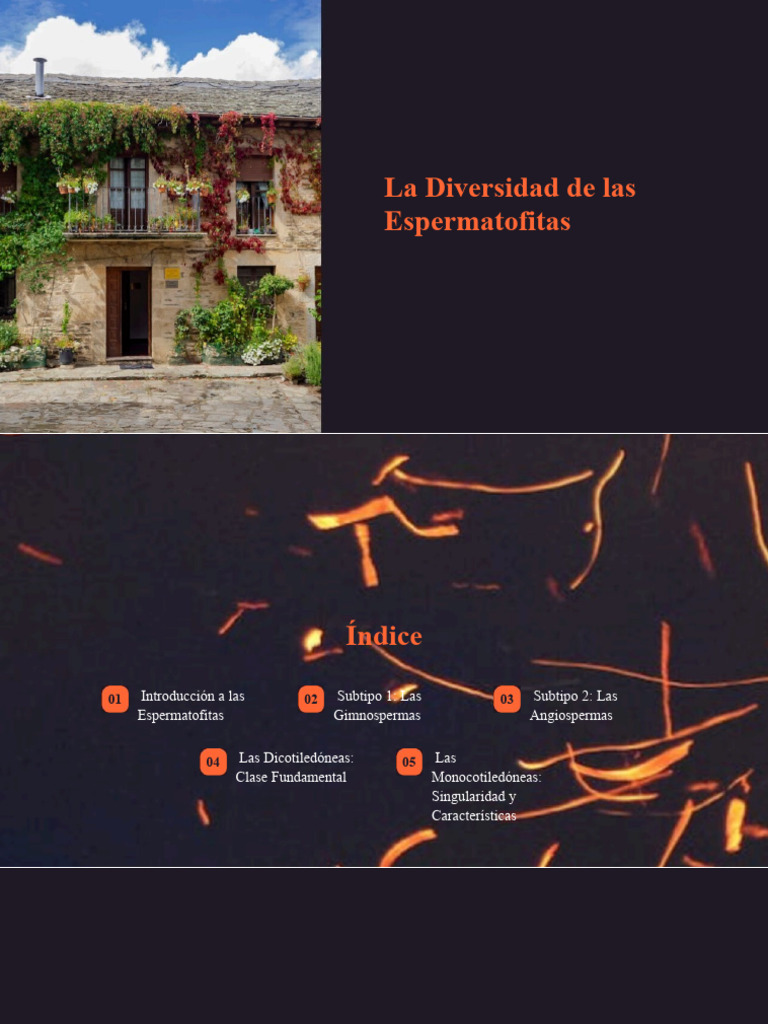 La Diversidad de Las Espermatofitas | PDF | Plantas | Semilla