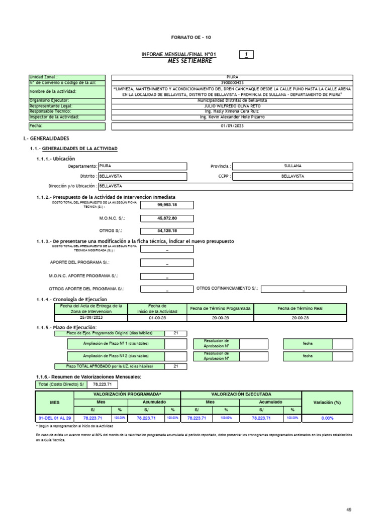 Formato Oe - 10 | PDF
