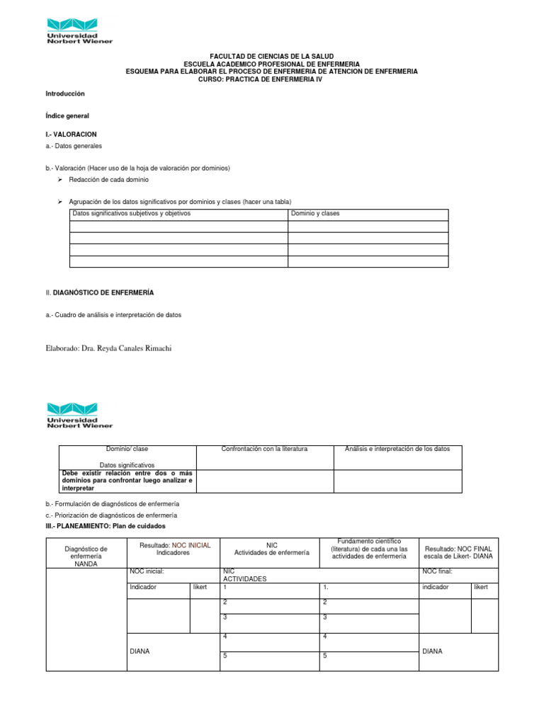 Esquema Del PAE | PDF | Enfermería | Cuidado de la salud