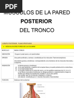 Anatomía de los Músculos Paravertebrales | PDF | Tejido suave ...