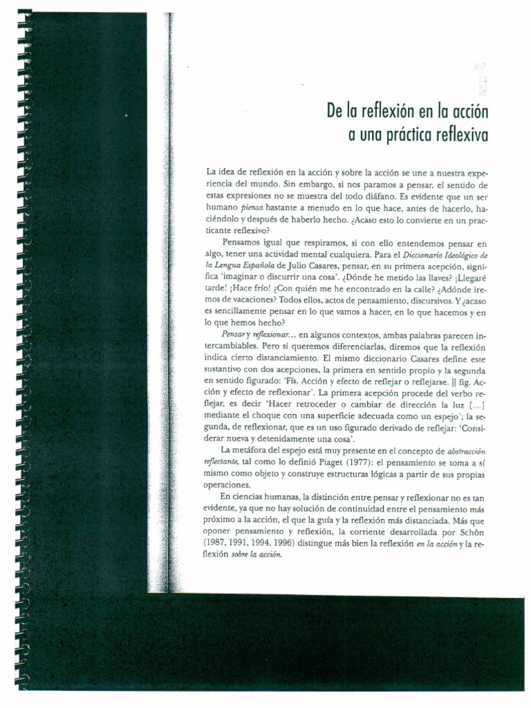 Capitulo 1 Práctica Reflexiva | PDF