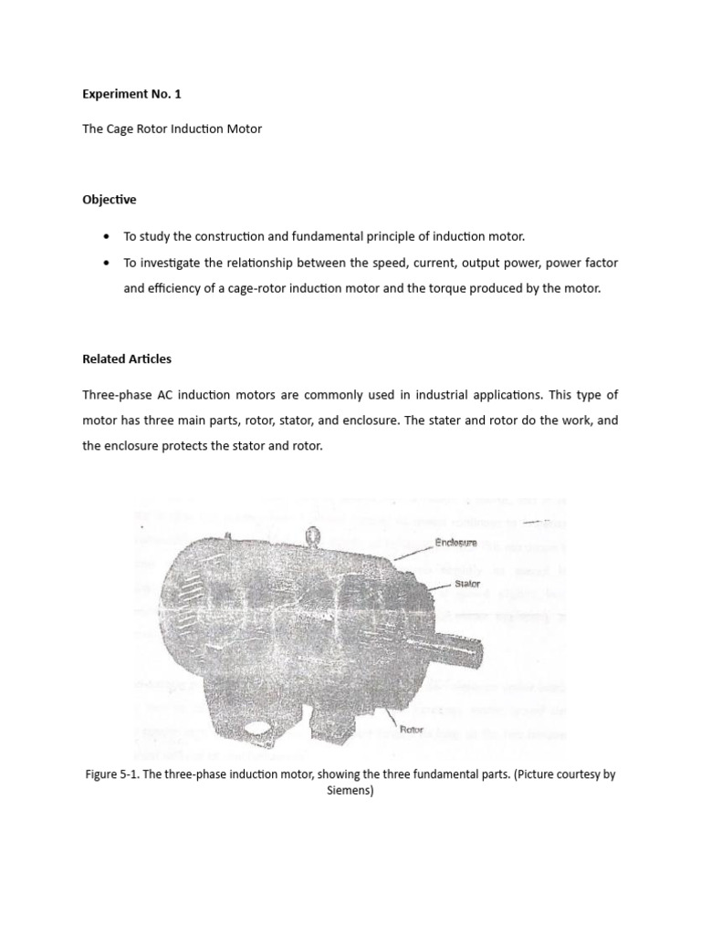 Rotor Exp1 | PDF | Electric Motor | Electrical Components